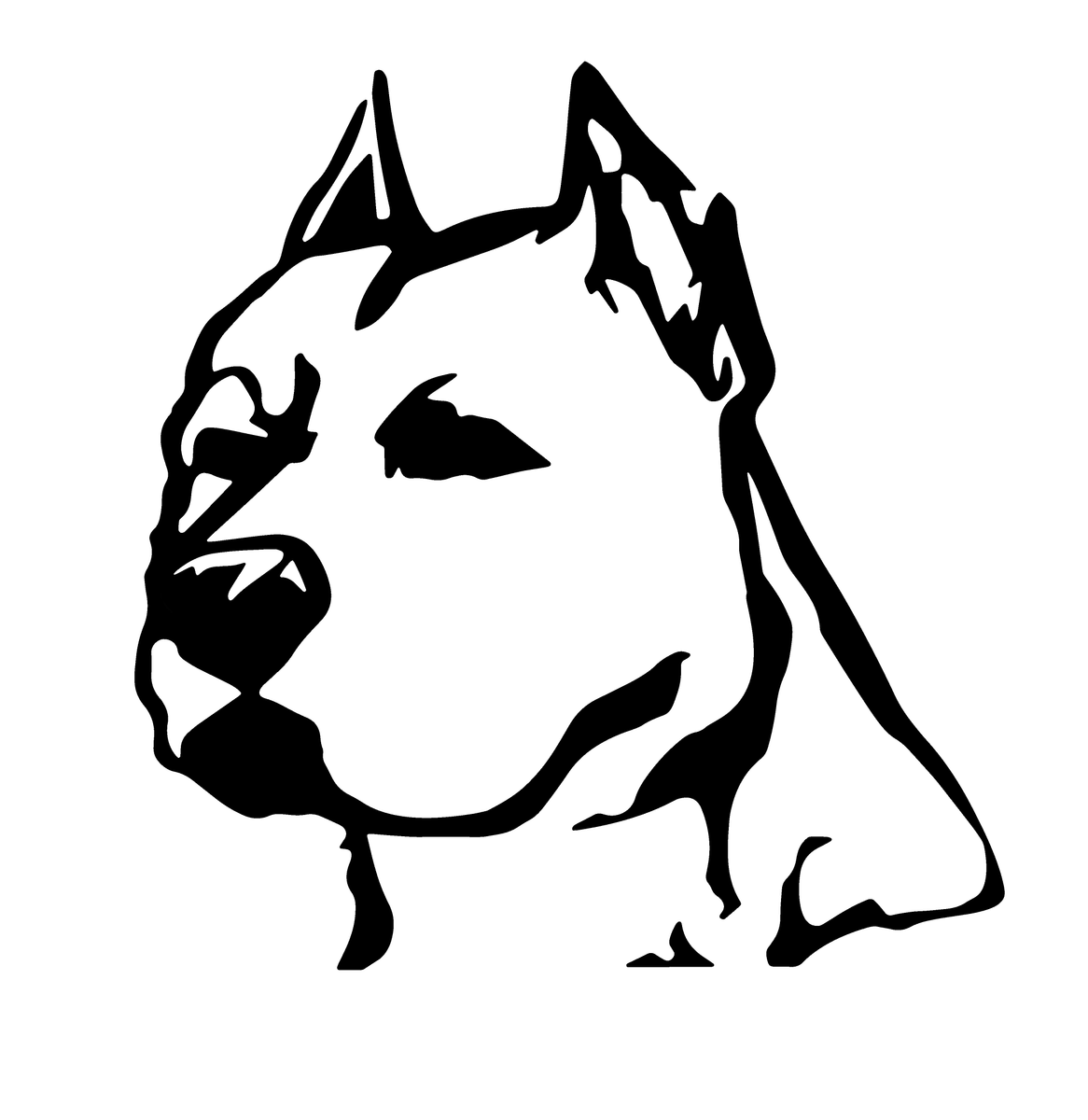 Legacy Fight Goods | Muay Thai, Boxing & BJJ Gear for All Levels ...